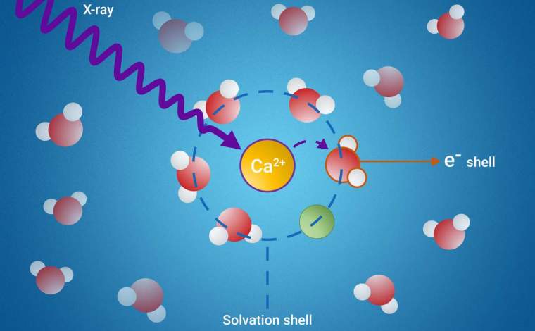 String Theory in a Nutshell und Becker, K. et al.: String Theory and M-Theory • pro-physik.de ...